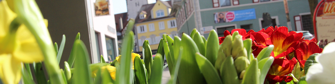 Stadt Markdorf | Startseite