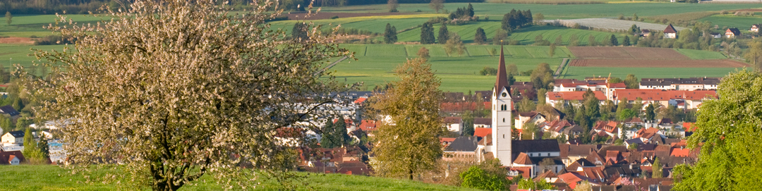 Stadt Markdorf | Startseite