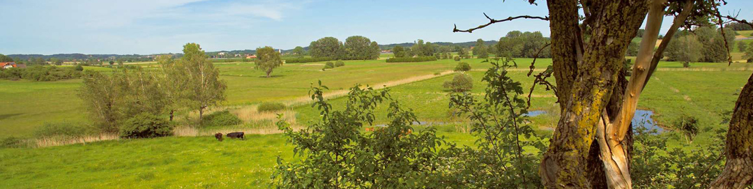 Stadt Markdorf | Startseite